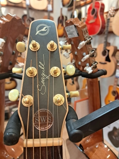 Gear Hunter | Seagull Guitars Maritime SWS